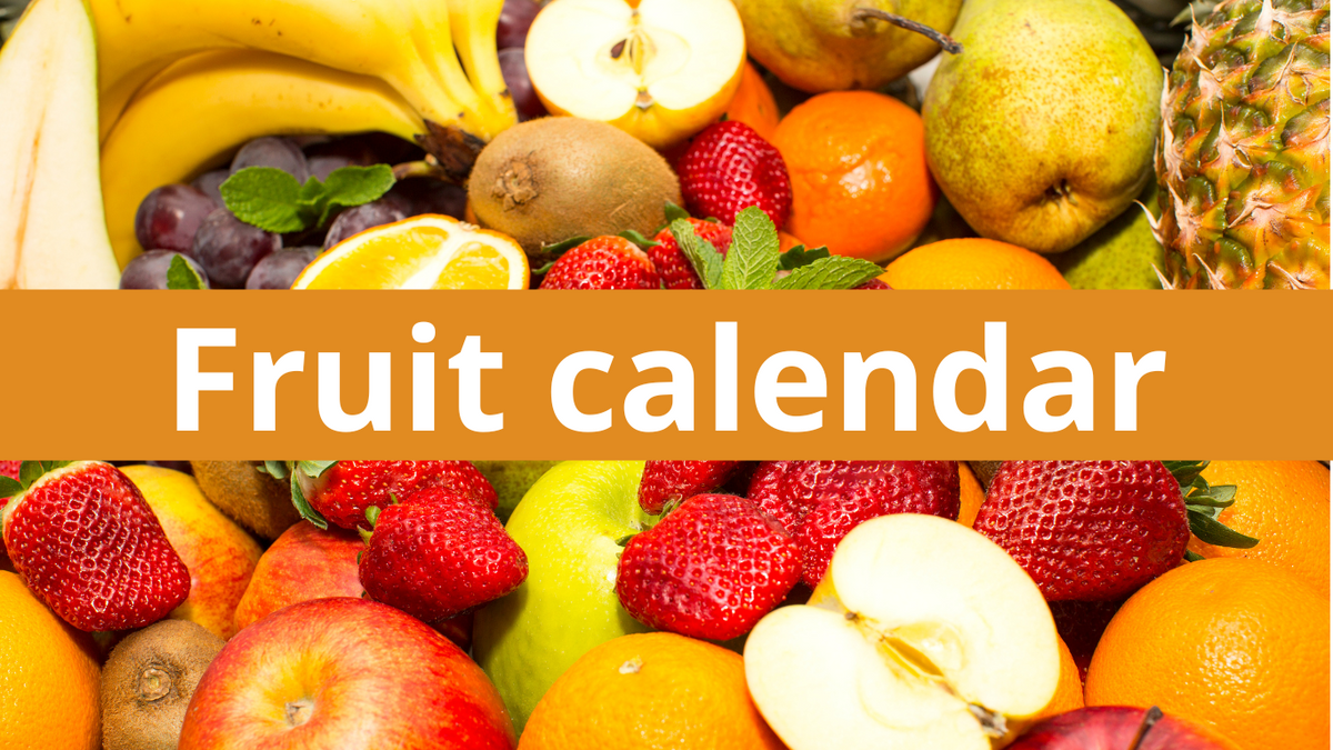 Fruits Calender_テーブル作成用