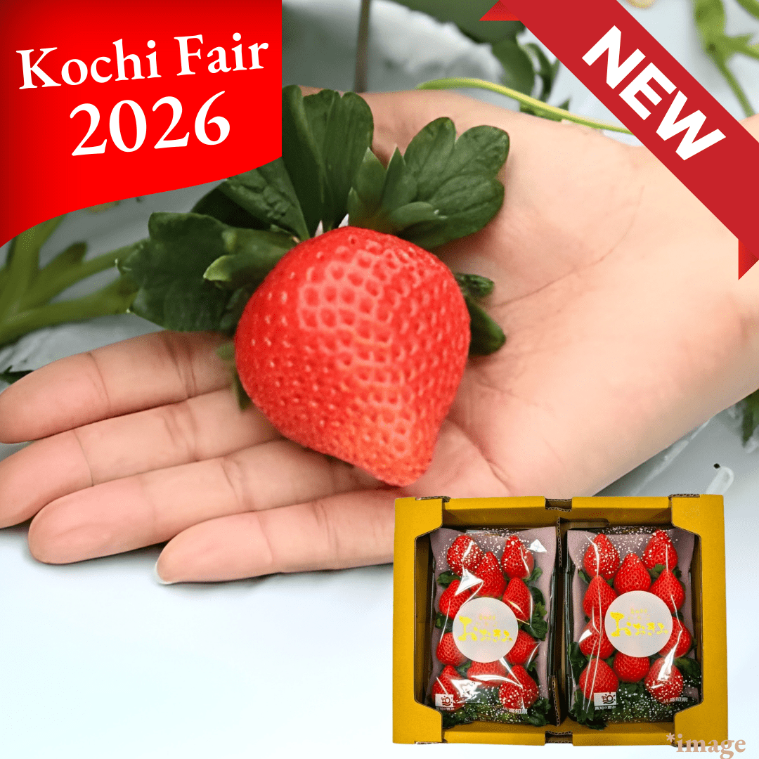 "Okimi (High Grade)", Kochi Premium Strawberry, Approx.500g(2packs ...