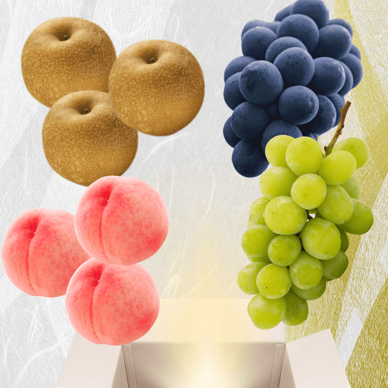 Japanese Fruits
