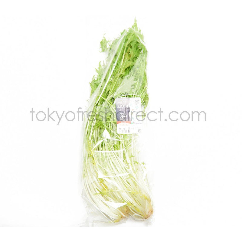 Organic Potherb mustard (Mizuna) 200g per bag - where to buy in Singapore
